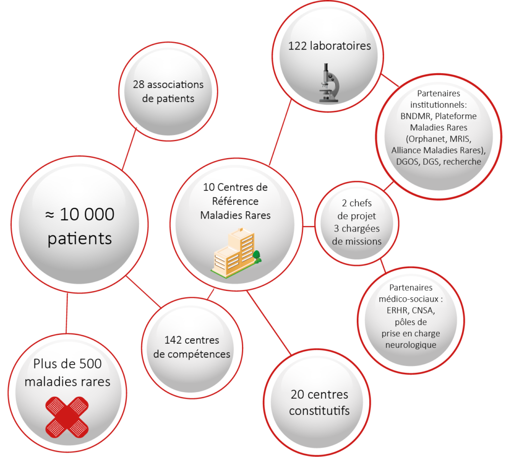 Présentation et missions de BRAIN-TEAM | BRAIN-TEAM