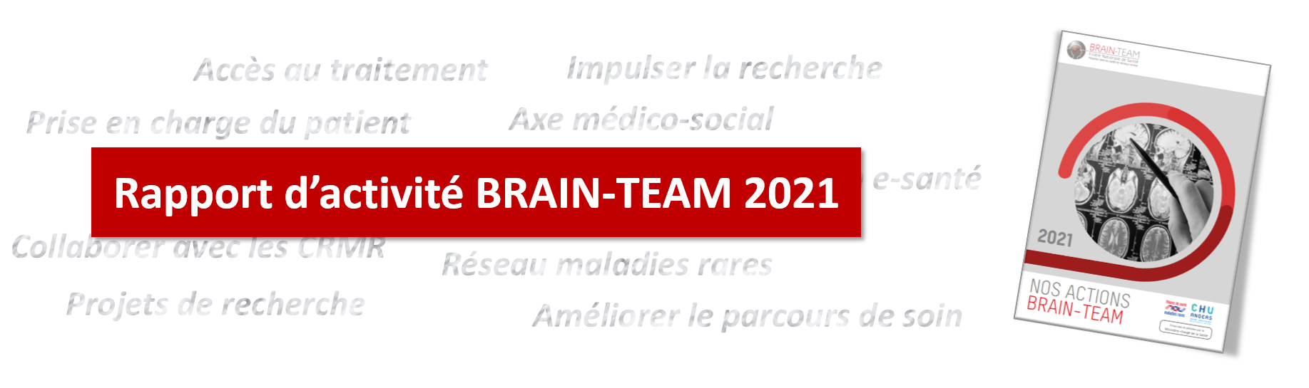 BRAIN-TEAM